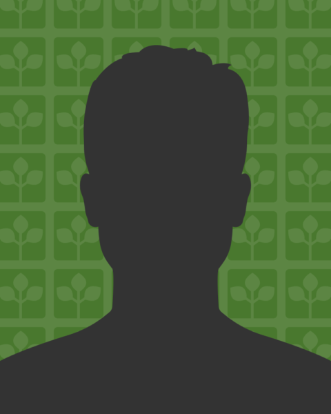 Rochester Counseling Solutions